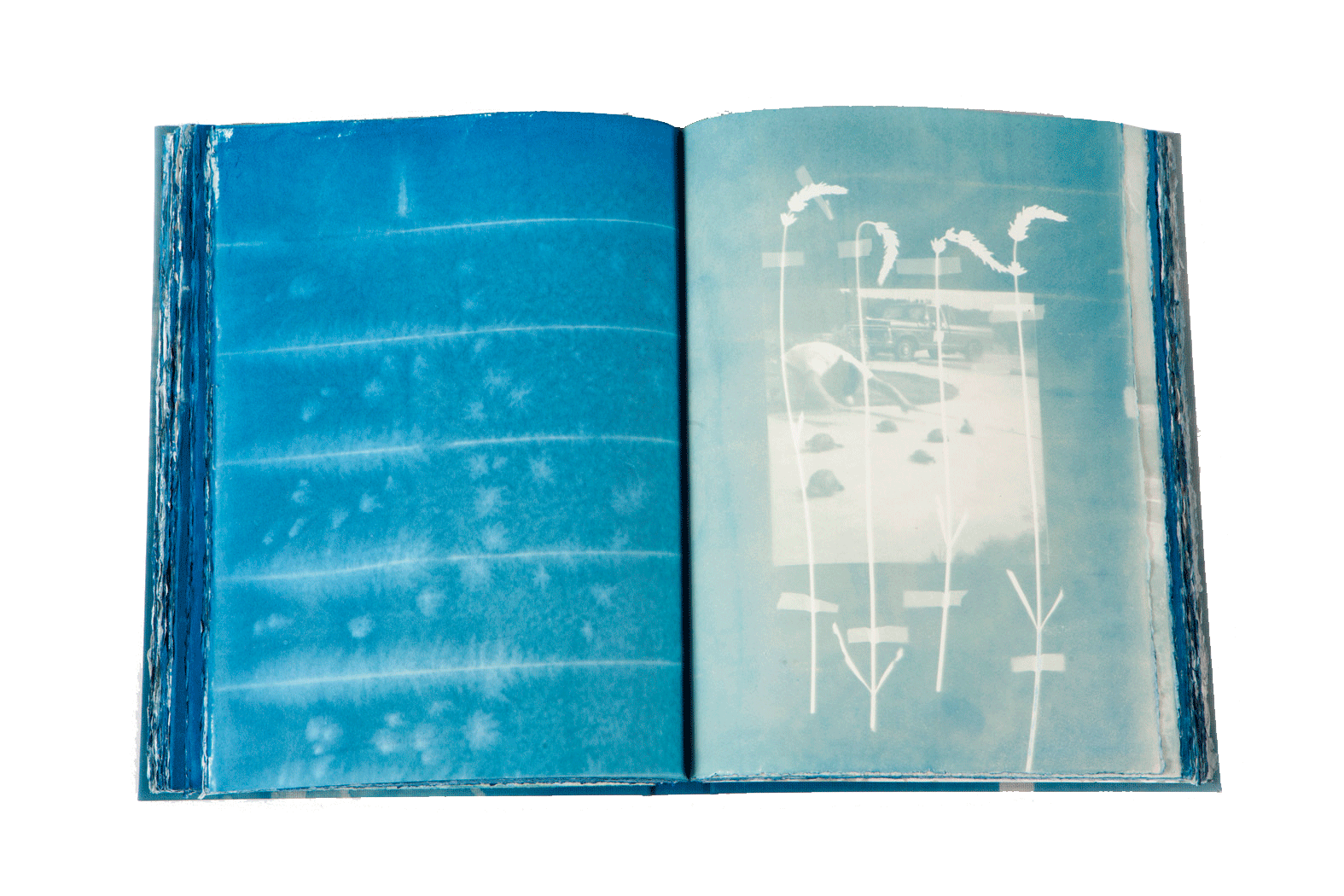 Cyanotype - 2018-2021