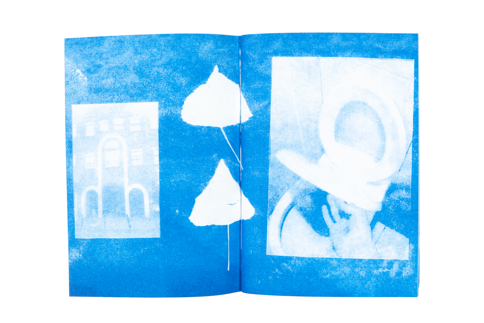 Cyanotype Book - 2014